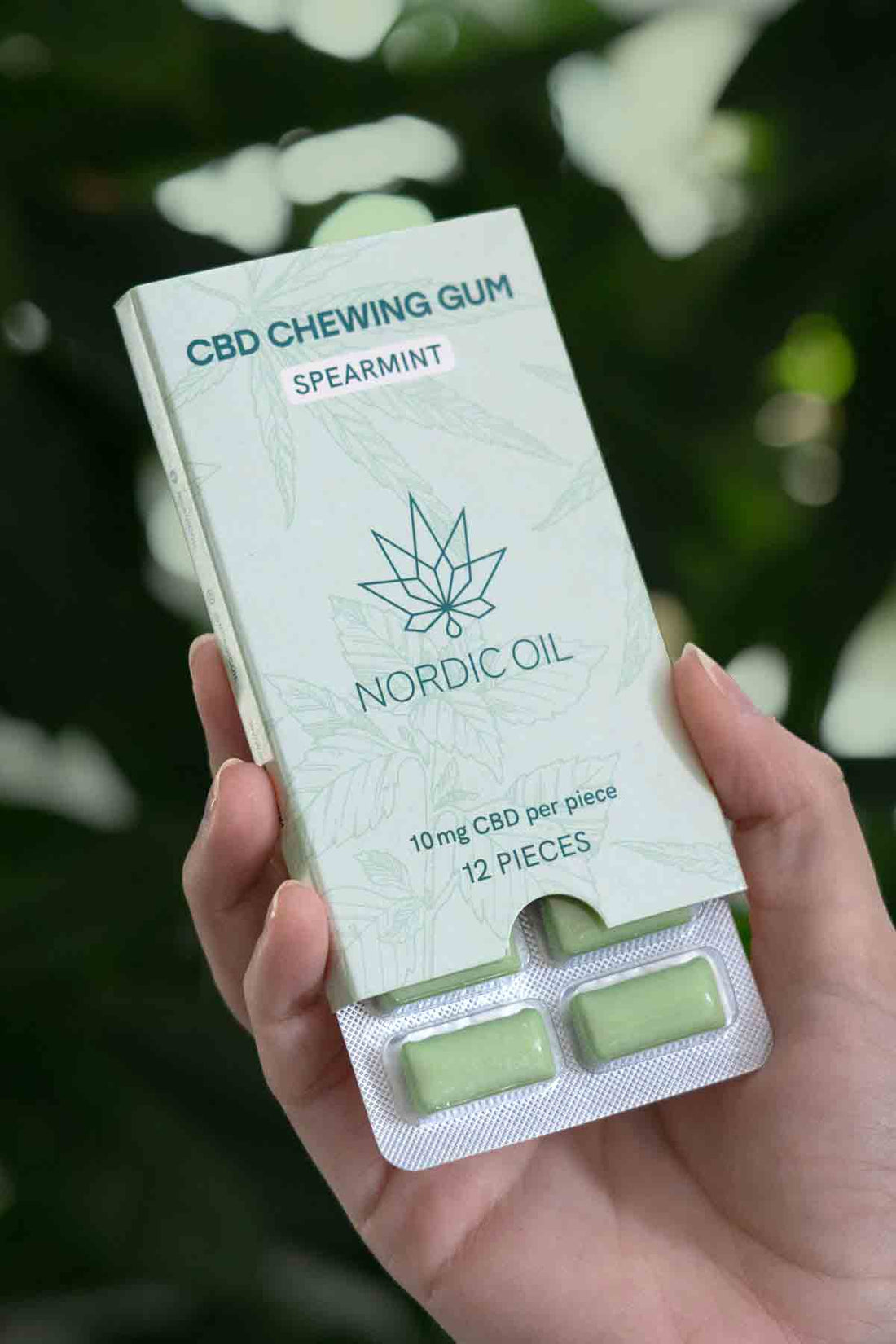 CBD チューインガム – Nordic Oil
